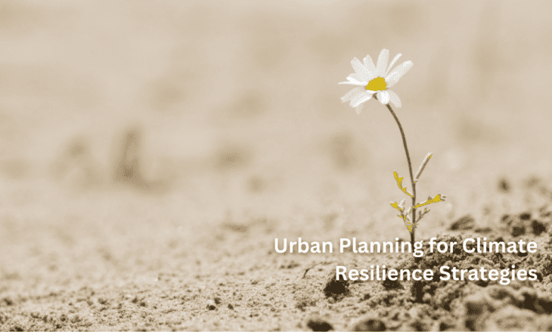 Urban Planning for Climate Resilience Strategies